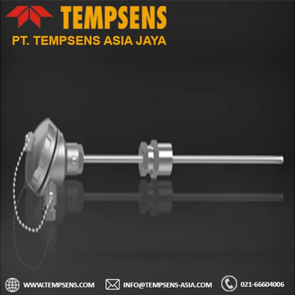 Standard RTD with Head & Fitting | Tempsens Asia Jaya