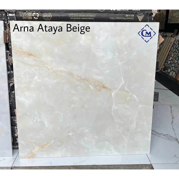ARNA ATAYA BEIGE POLISHED 60X60 | Megah Keramik