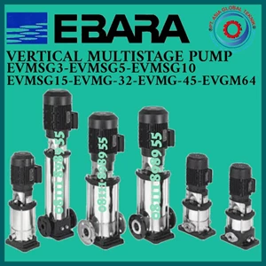 EBARA MOTOR PUMP EVMG 64 5-2F5/30 3000RPM 2POLE 3PHASE CENTRIFUGAL PUMP ...