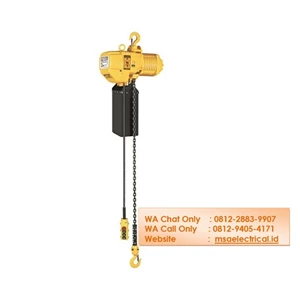 Electric Chain Hoist Crane Pawell PE 2 Ton