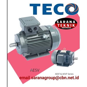 MOTOR LISTRIK INDUKSI TECO AESV PT. SARANA TEKNIK | Sarana Teknik Motor