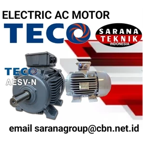 ELECTRIC AC MOTOR TECO AESV-N PT. SARANA TEKNIK MOTOR | Sarana Teknik Motor