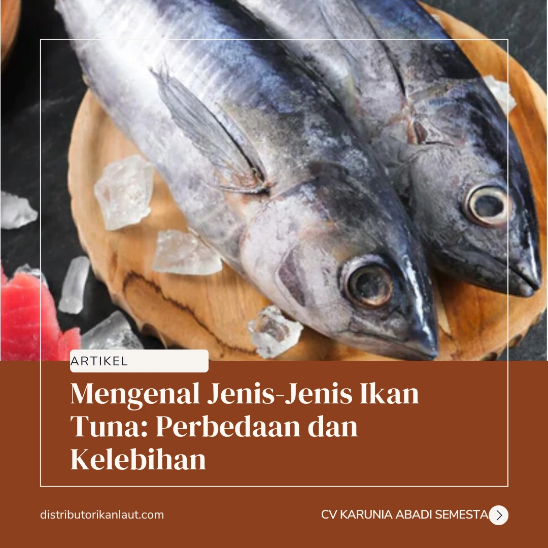 Mengenal Jenis-Jenis Ikan Tuna: Dari Yellowfin hingga Bluefin