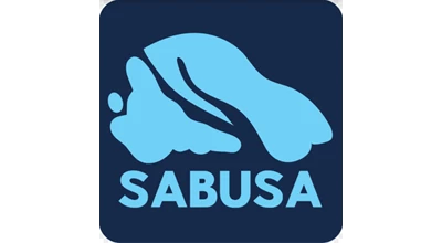 Jasa Salon Mobil Panggilan JABODETABEK | Sabusa Detailing Indonesia